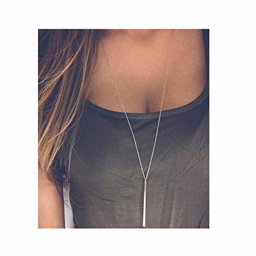 Luxcastle Bar Y Necklace Simple Long Vertical Bar Necklace Long Chian for Women (Silver)