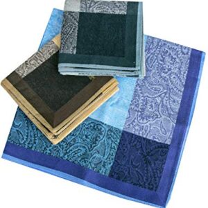 COOUSML Mens Soft Cotton Handkerchiefs Paisley Assorted Hankies Gift Set