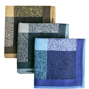 COOUSML Mens Soft Cotton Handkerchiefs Paisley Assorted Hankies Gift Set