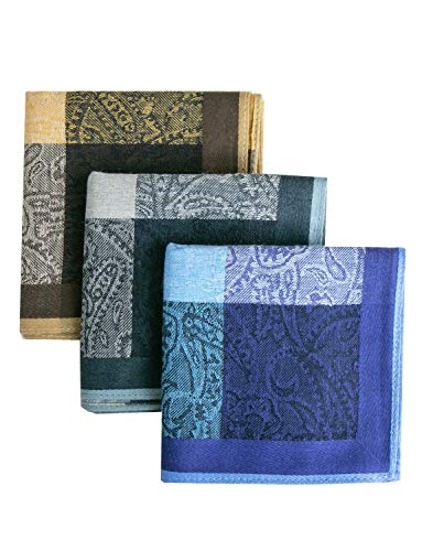 COOUSML Mens Soft Cotton Handkerchiefs Paisley Assorted Hankies Gift Set