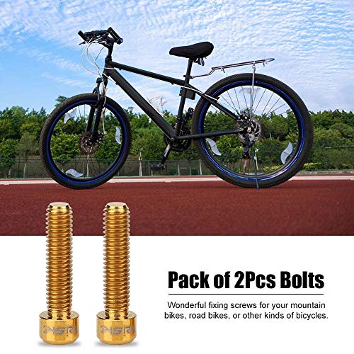 Bnineteenteam 2Pcs Alloy Disc Brake Caliper Screw Bolts M6 X 25mm Bolts Screws for Mountain Bike (Gold)