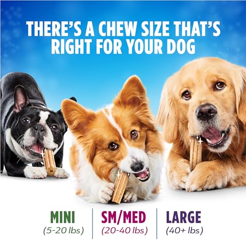 Dentalife DentaLife Made in USA Facilities Small/Medium Dog Dental Chews, Daily - (2) 47 ct. Pouches