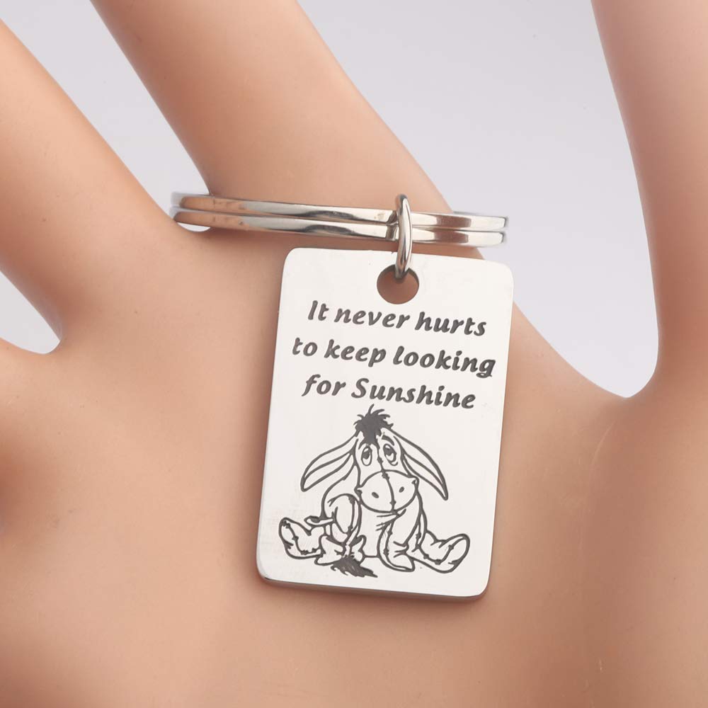 KUIYAI It Never Hurts to Keep Looking for Sunshine Bracelet Donkey Quote Bracelet Inspiration Gift (Keychain)