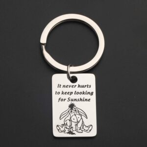 KUIYAI It Never Hurts to Keep Looking for Sunshine Bracelet Donkey Quote Bracelet Inspiration Gift (Keychain)