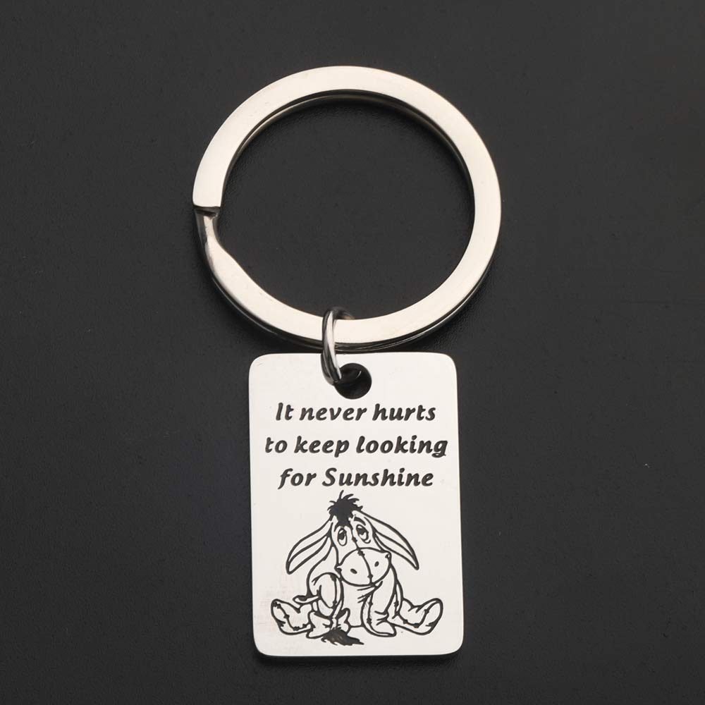 KUIYAI It Never Hurts to Keep Looking for Sunshine Bracelet Donkey Quote Bracelet Inspiration Gift (Keychain)