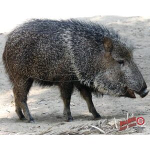 duramesh archery target javelina 25 in. x 32 in. black