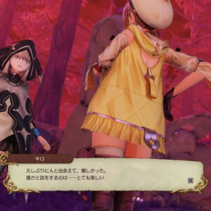 Atelier Ryza: Ever Darkness & The Secret Hideout - Nintendo Switch