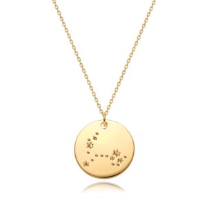 mevecco gold necklace coin disc zodiac 12 constellation pisces star engraved horoscope sign astrology pendant 18k gold plated chain dainty personalized simple jewelry