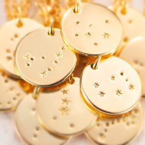 MEVECCO Gold Necklace Coin Disc Zodiac 12 Constellation Pisces Star Engraved Horoscope Sign Astrology Pendant 18K Gold Plated Chain Dainty Personalized Simple Jewelry