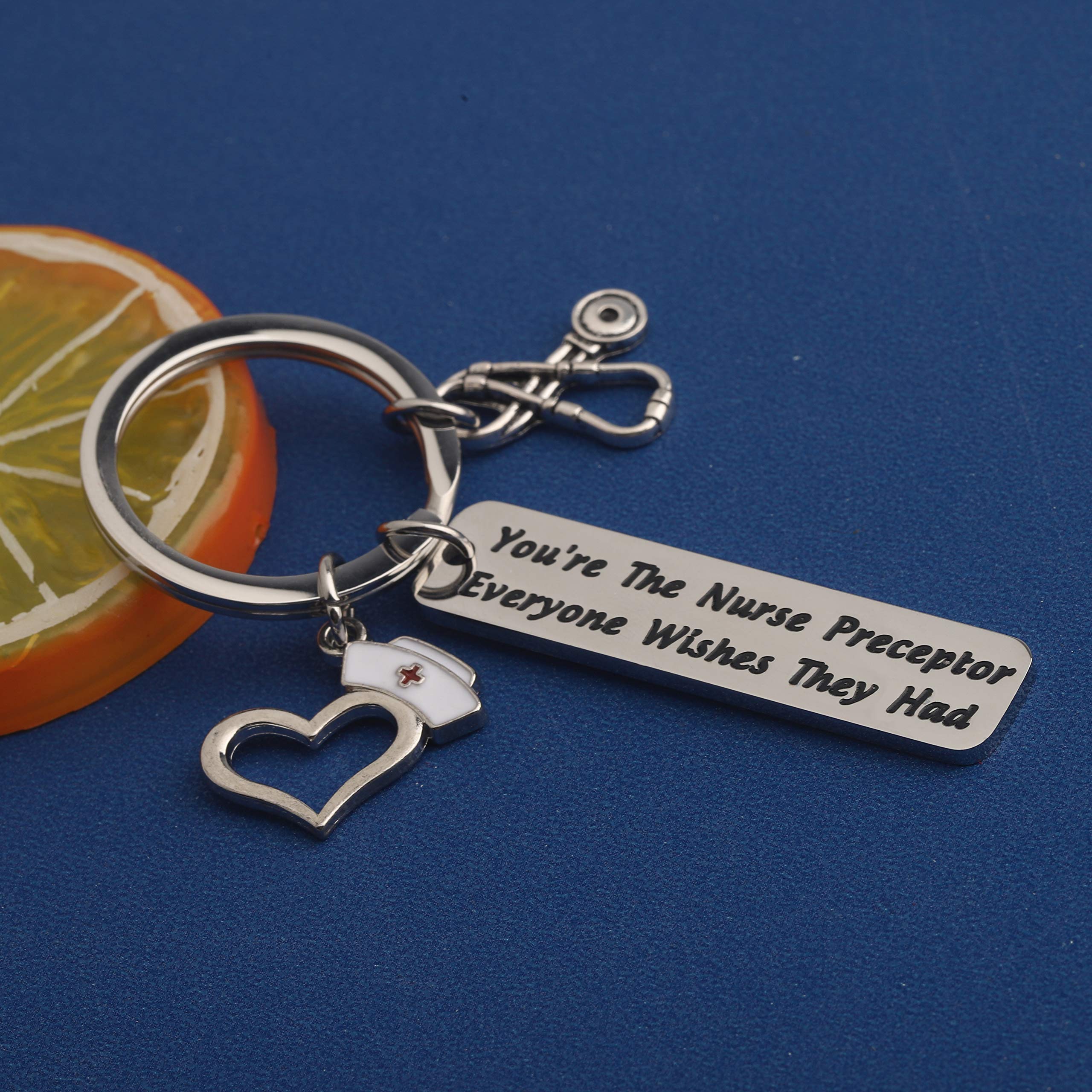 BEKECH Nurse Preceptor Gift Nurse Instructor Gift Nurse Manager Gift You Are The Nurse Preceptor Everyone Wishes They Had Keychain Nursing Instructor Appreciation Gift (silver)