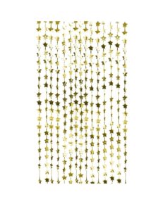 ginger ray gold star shimmer foil backdrop curtain hanging party, pop the bubbly, decoration