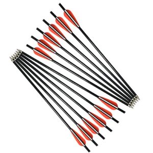 Crossbow Bolts Arrows Fiberglass 14 Inch Hunting Sport Archery Target Arrow with Replaced 100 Grain Points Flat Knocks (Pack of 12)