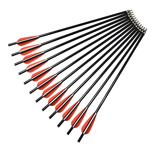 Crossbow Bolts Arrows Fiberglass 14 Inch Hunting Sport Archery Target Arrow with Replaced 100 Grain Points Flat Knocks (Pack of 12)