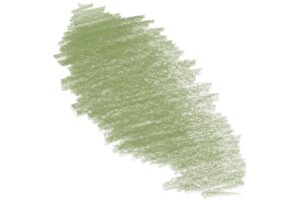 derwent lightfast pencil - foliage