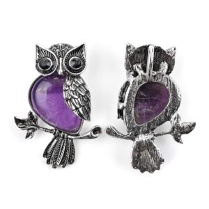 Jovivi Owl Gifts Vintage Owl Necklace Healing Crystals Stone Pendant Necklaces for Women Men Natural Amethyst Gemstone Jewelry Reiki Spiritual Energy Lucky