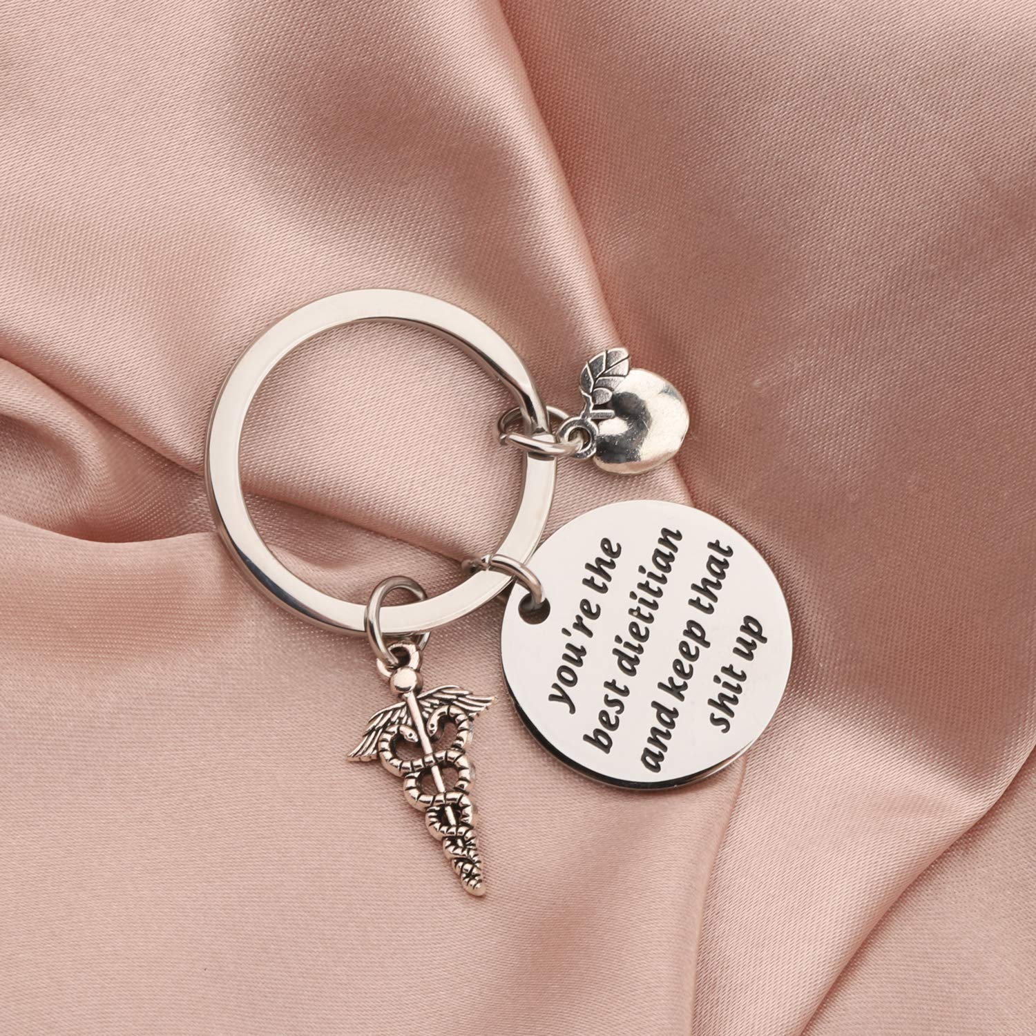 SEIRAA Dietitian Gift RD Registered Dietitian Gift You’re The Best Dietitian and Keep That Shit Up Keychain Retirement Gift for Food Teacher (best dietitian keychain)