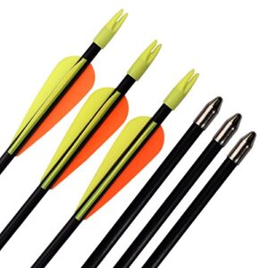 28 Inch Recurve Bow Youth Arrows Target Arrows Archery Practice Fiberglass Arrows for Beginners Kids Women Outdoor (Pack of 12)