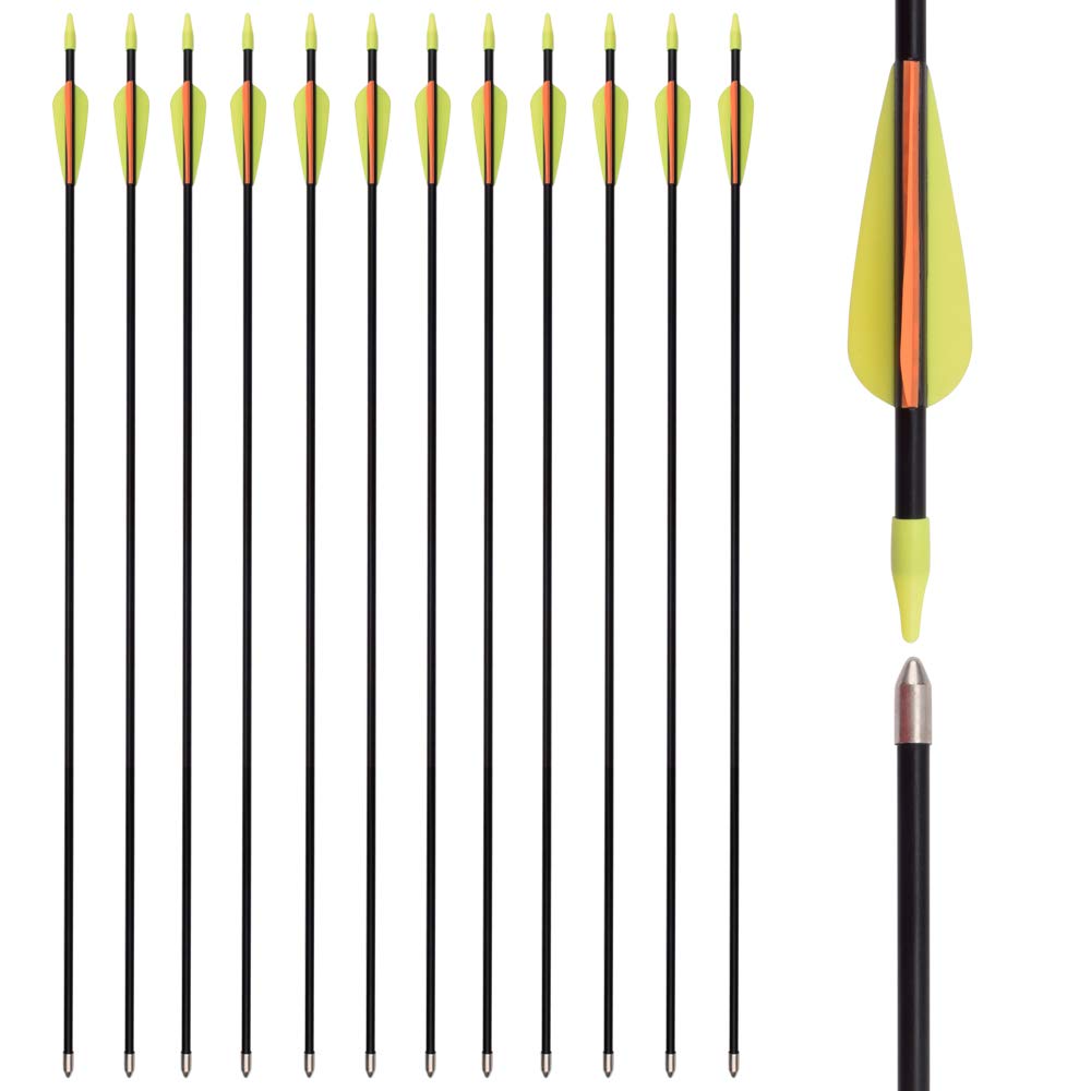 28 Inch Recurve Bow Youth Arrows Target Arrows Archery Practice Fiberglass Arrows for Beginners Kids Women Outdoor (Pack of 12)