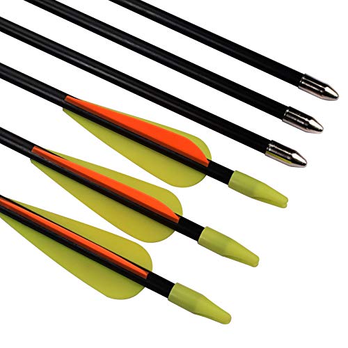 28 Inch Recurve Bow Youth Arrows Target Arrows Archery Practice Fiberglass Arrows for Beginners Kids Women Outdoor (Pack of 12)