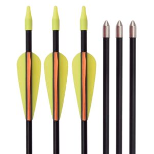 28 Inch Recurve Bow Youth Arrows Target Arrows Archery Practice Fiberglass Arrows for Beginners Kids Women Outdoor (Pack of 12)