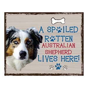 a spoiled australian shepherd lives here - funny animal wall art decor, dog wall art pet print is perfect for home decor, kitchen decor, vet & garage decor. great gift for og lovers! unframed - 10x8