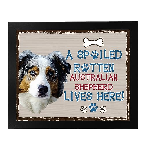 A Spoiled Australian Shepherd Lives Here - Funny Animal Wall Art Decor, Dog Wall Art Pet Print is Perfect for Home Decor, Kitchen Decor, Vet & Garage Decor. Great Gift for og Lovers! Unframed - 10X8