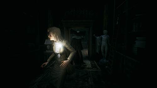 Remothered: Tormented Fathers - PlayStation 4