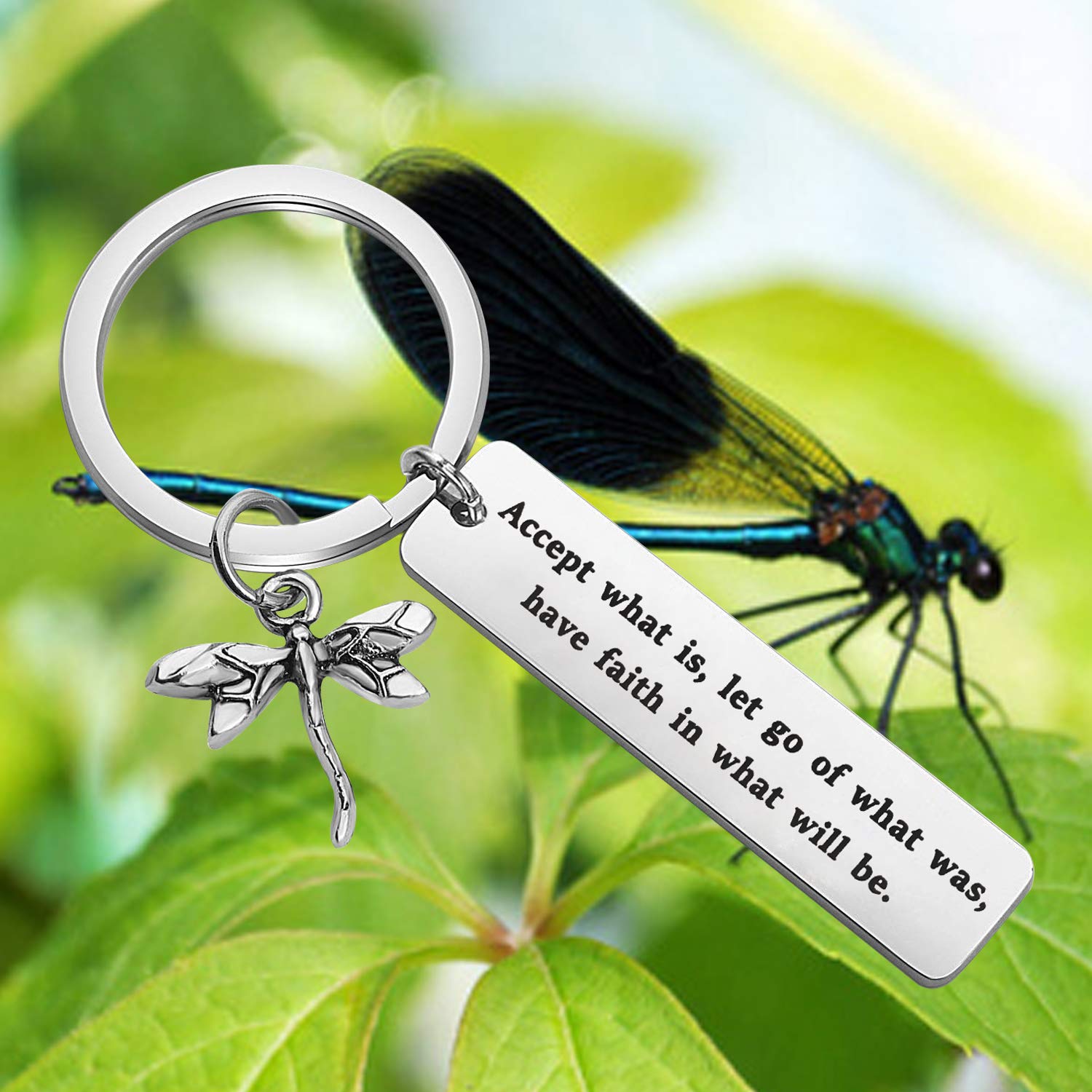 MYOSPARK Accept What Is Let Go of What Was And Have Faith In What Will Be Dragonfly Keychain Inspirational Jewelry Gift (Dragonfly Keychain)