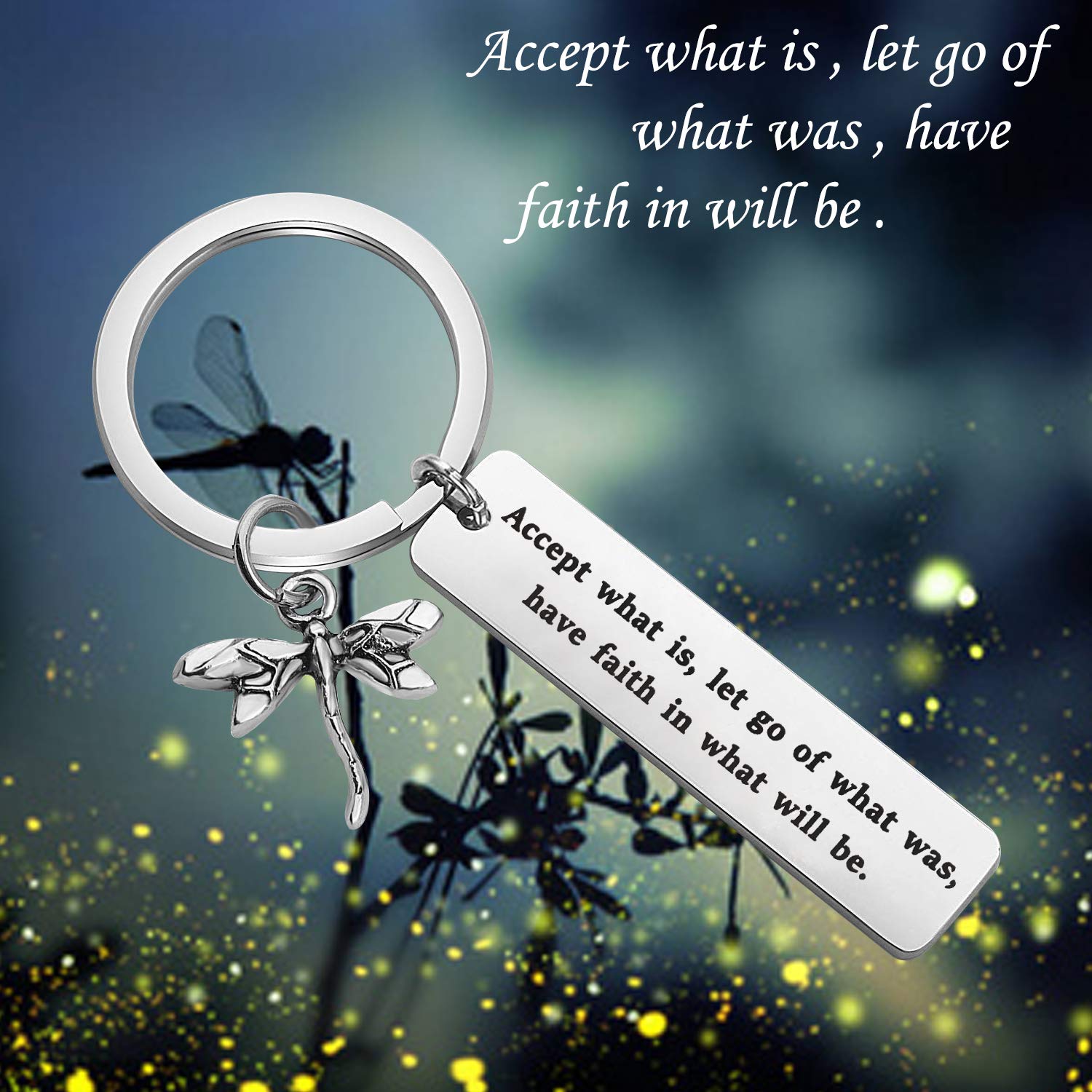 MYOSPARK Accept What Is Let Go of What Was And Have Faith In What Will Be Dragonfly Keychain Inspirational Jewelry Gift (Dragonfly Keychain)