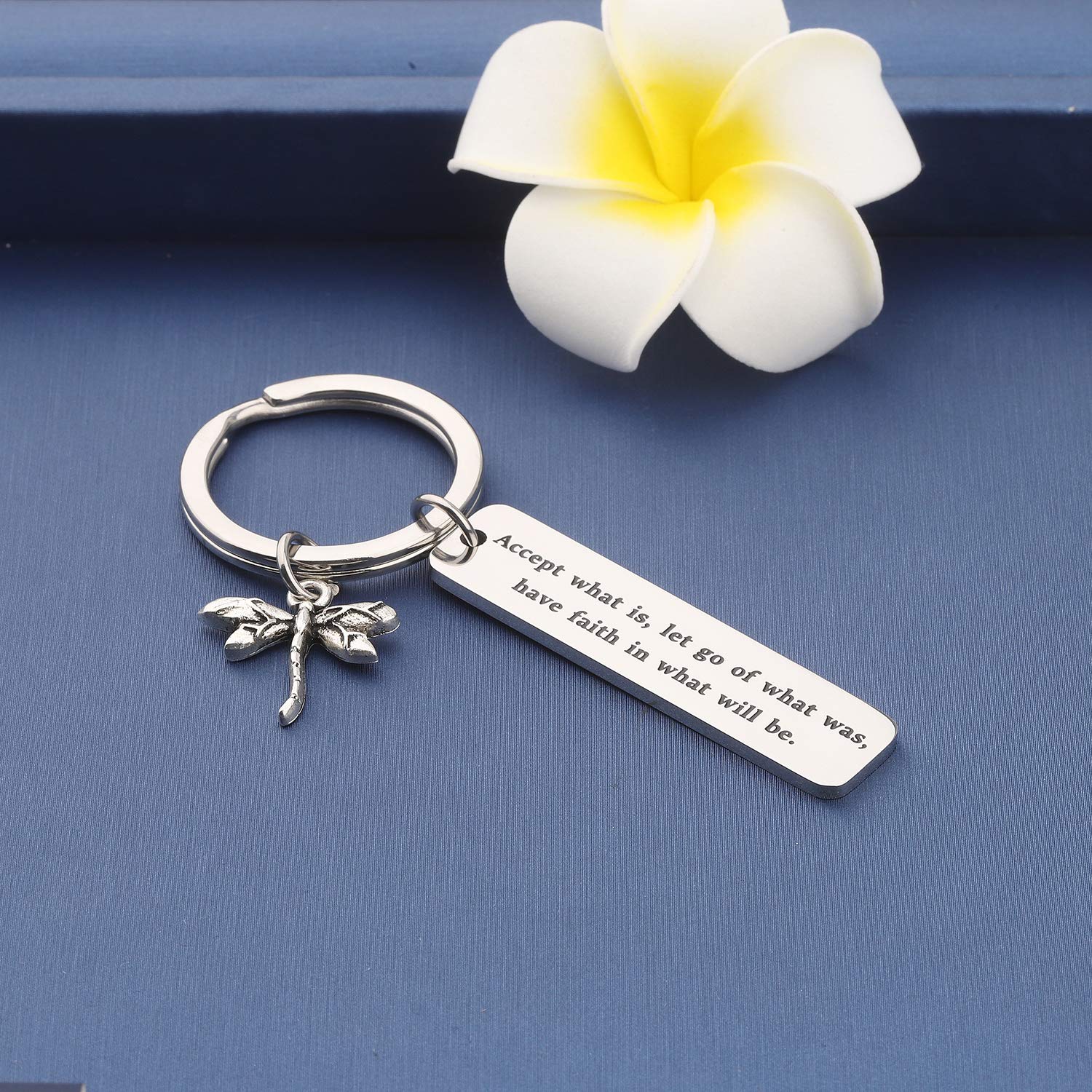 MYOSPARK Accept What Is Let Go of What Was And Have Faith In What Will Be Dragonfly Keychain Inspirational Jewelry Gift (Dragonfly Keychain)