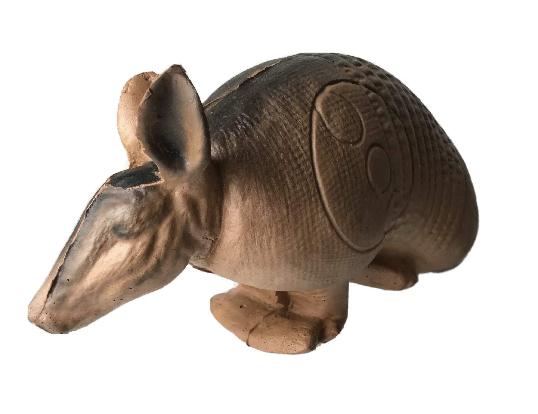 Real Wild 3D Armadillo Archery Target