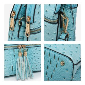 Dasein Women Tassel Zipper Pocket Crossbody Bag Shoulder Purse Fashion Travel Bag with Multi Pockets(Ostrich Blue)