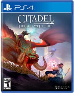 citadel forged with fire - playstation 4 standard edition