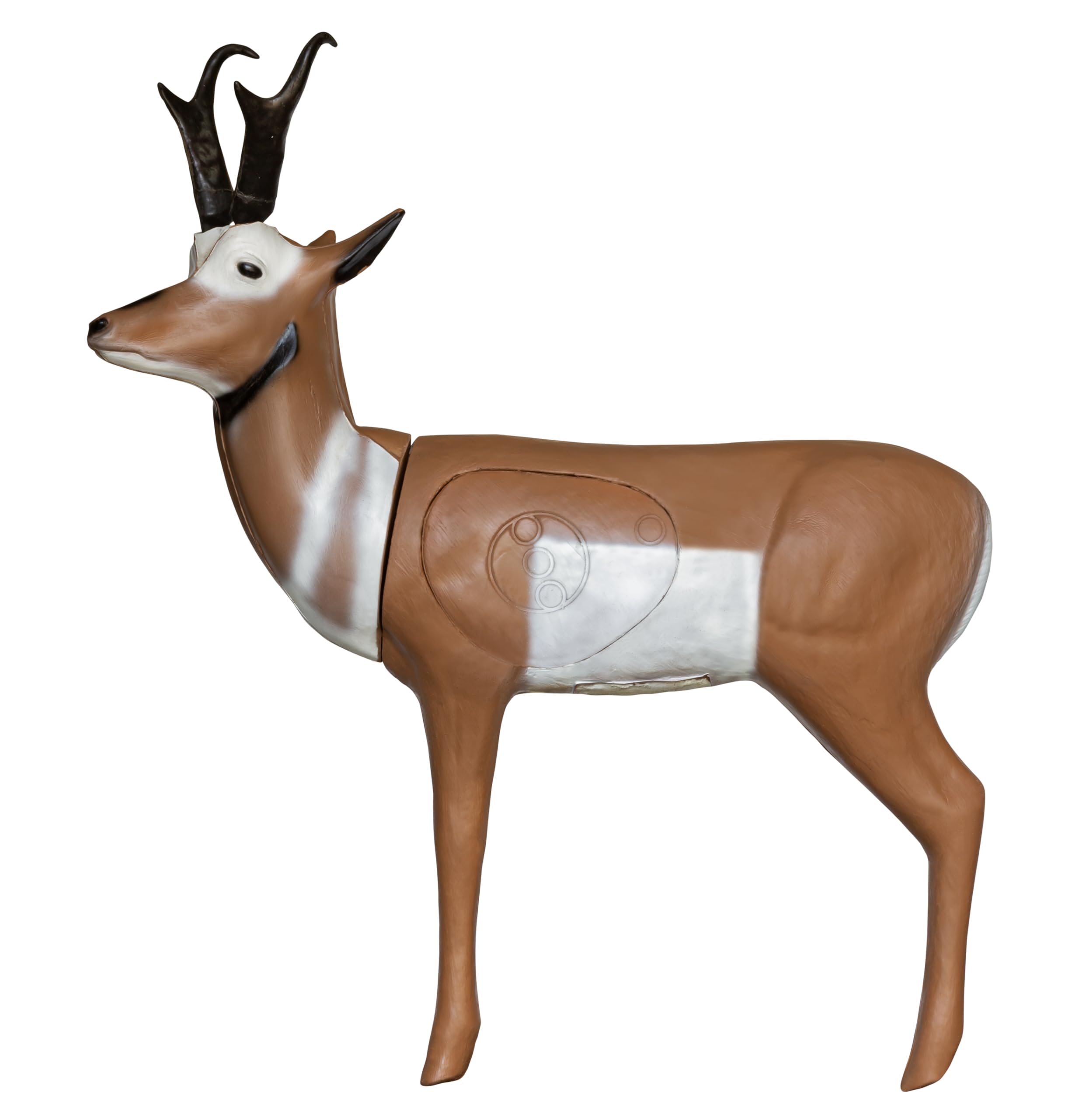 Real Wild 3D Pronghorn Antelope Archery Target