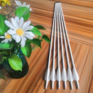 SHARROW Archery Mixed Carbon Arrow 30 Inches Hunting Arrow Spine 500 with Replaceable Arrowhead for Compound Recurve Bow Hunting Shooting 6/12pcs (12pcs)