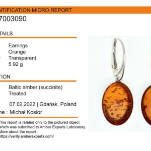 Amber Earrings - French Leverback Honey Oval Baltic Amber Dangling Earrings "Lois" - Sterling Silver Jewelry Collection