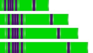 white water archery fluorescent neon green with purple cresting traditional 1 color arrow wraps 15pc choose length width (5.75)