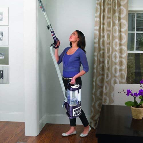 Shark Navigator Deluxe Upright Corded Bagless Vacuum for Carpet and Hard Floor with Lift-Away Hand Vacuum and Anti-Allergy Seal (NV361PR), Purple (Renewed)