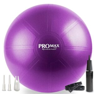 smarterlife pro max exercise ball for stability workout, fitness, pregnancy, yoga, pilates, home gym, physical therapy, birthing, balance ball chair (65 cm, purple)