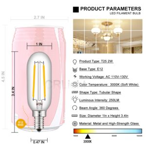 CRLight LED Candelabra Bulb 25W Equivalent 250 LM, 3000K Soft White 2W LED Chandelier Light Bulbs, E12 Vintage Edison T25(T8) Tiny Tubular Bulbs, Non-dimmable Version, 10 Pack