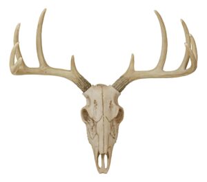 ebros gift rustic hunter deer 10 point buck skull trophy antlers wall mounted plaque trophy decor figurine 14.25" long hunter's antler rack theme deers bucks hunting skulls trophies hanging sculptures