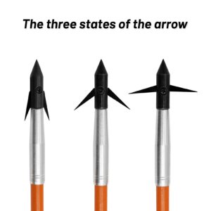 HANDBAIGE Archery 6pcs 32 Inches Fiberglass Shaft Fishing Arrows 8mm Bowfishing Arrow with Broadheads for Compound and Recurve Bow Fishing Hunting