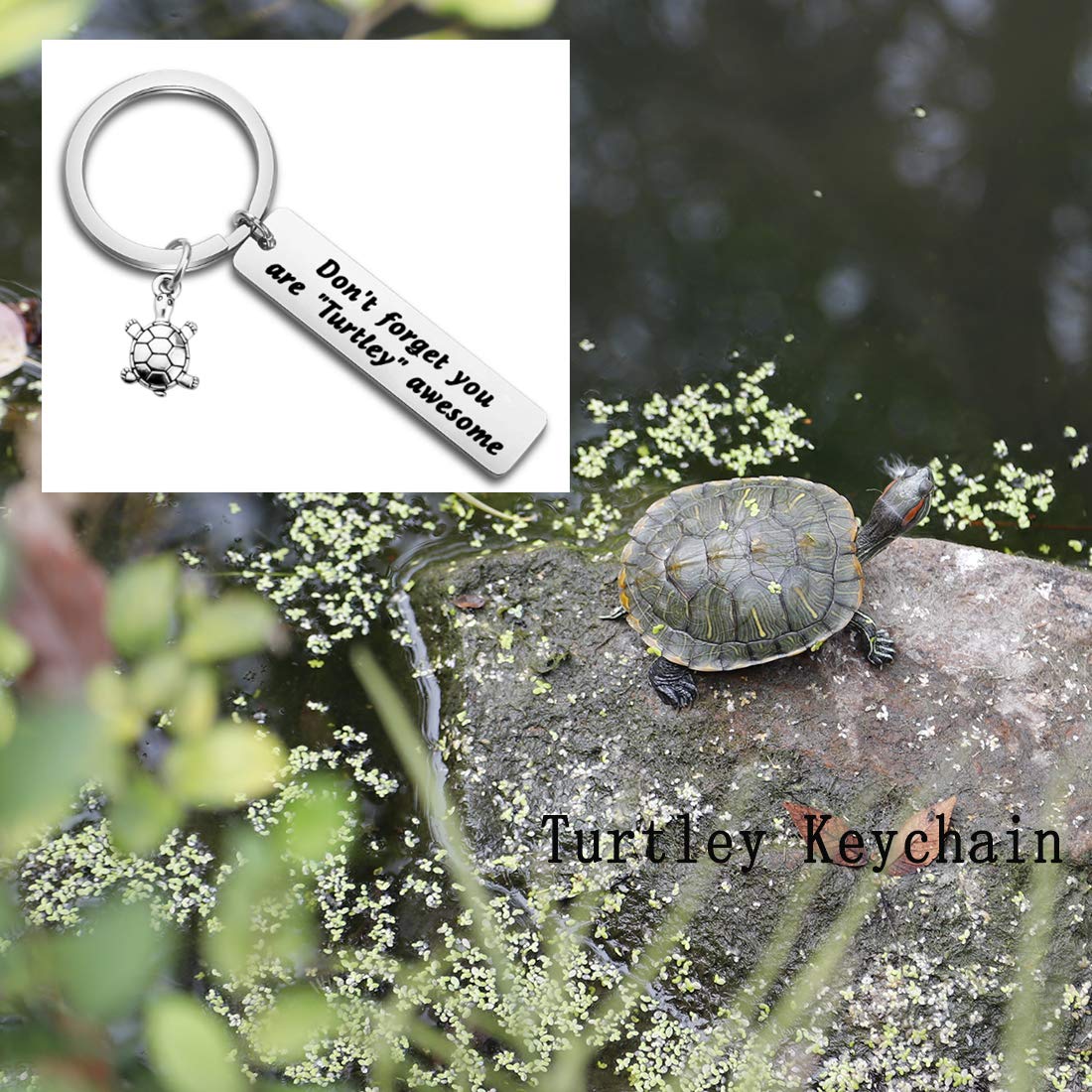 HOLLP Turtle Bracelet Awesome Bangle Beach Jewelry Don’t Ever Forget You Are Turtley Awesome Jewelry (Keychain)