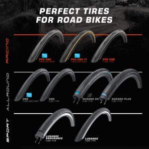 Schwalbe Pro One Tire - 700 x 25, Clincher, Folding, Black, Evolution Line, Addix Race