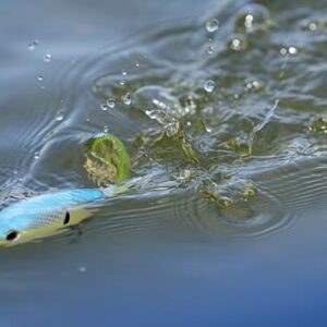 Berkley Choppo Topwater Fishing Lure, Ghost Bluegill, Size 105, Cupped Propeller Tail for Balance of Sound and Spray, Equipped with Sharp Fusion19™ Hook