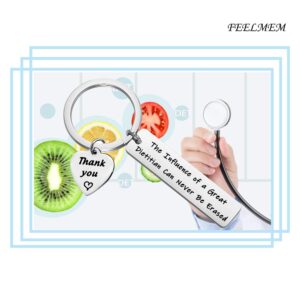 FEELMEM Dietitian Gift Nutrionist Gift Dietitian Appreciation Keychain The Influence of a Great Dietitian Can Never Be Erased Jewelry for Registered Dietitian Dietician (silver)