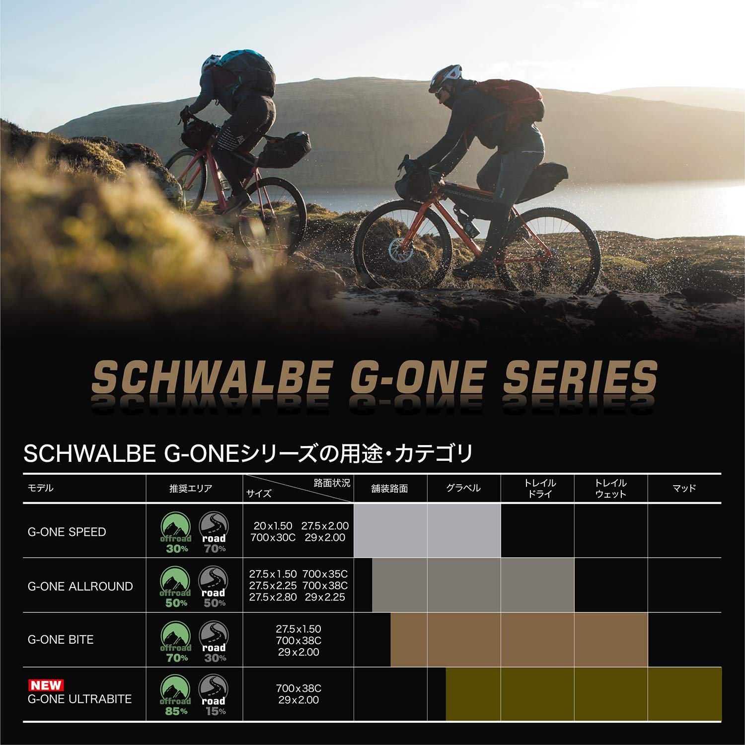 Schwalbe G-One Allround Tire - 700 x 38, Tubeless, Folding, Black/Tan, Performance Line, Addix