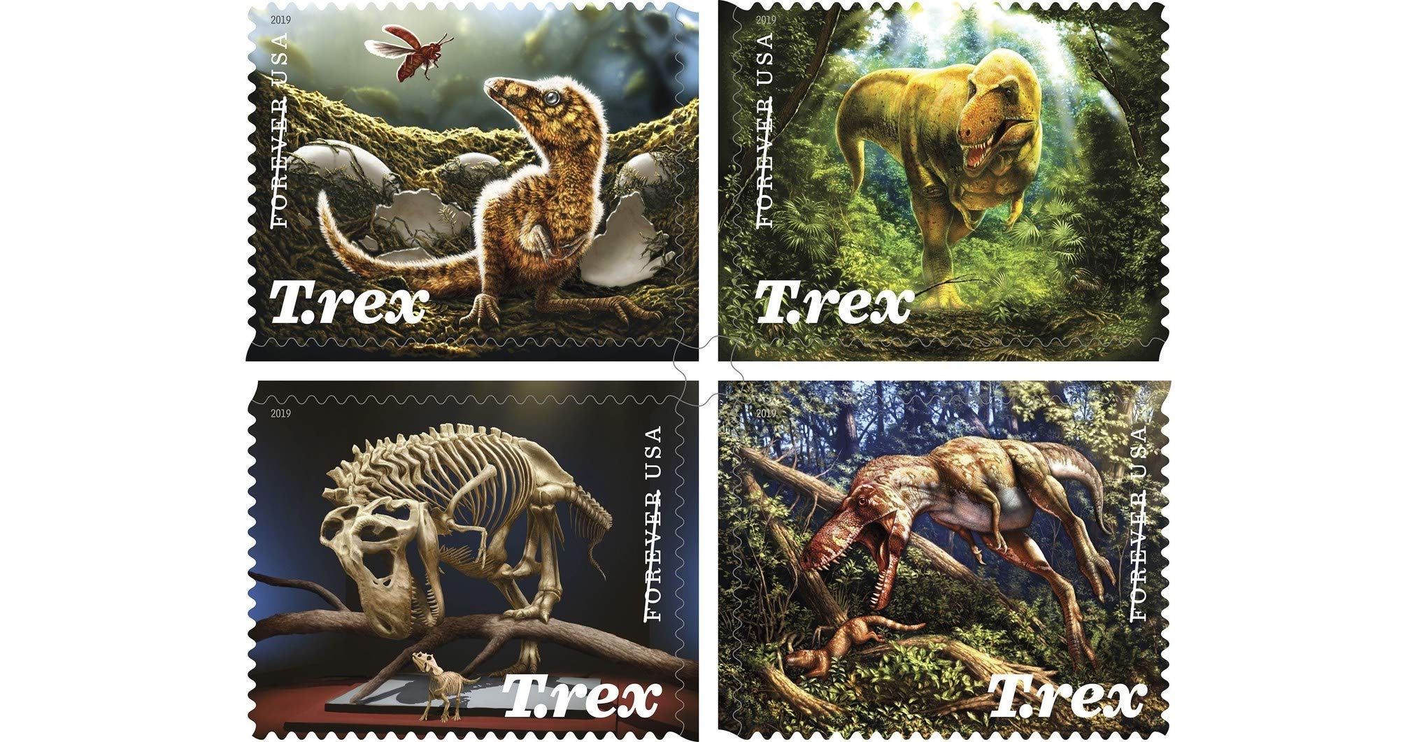 Tyrannosaurus Rex (T Rex) Forever First Class US Postage Stamps Prehistoric Dinosaur (16 Stamps)