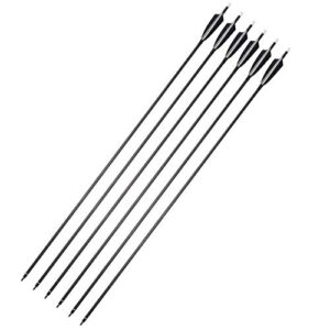 AMEYXGS 6/12pcs Carbon Arrows 34inch Practice Arrow with True Feathers and Detachable Arrow Tips 500 Spine Shooting Practice Arrows for Compound Bow Recurve Bow (12pcs)