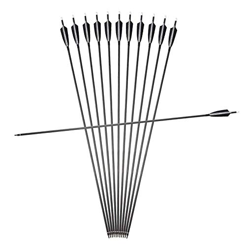 AMEYXGS 6/12pcs Carbon Arrows 34inch Practice Arrow with True Feathers and Detachable Arrow Tips 500 Spine Shooting Practice Arrows for Compound Bow Recurve Bow (12pcs)